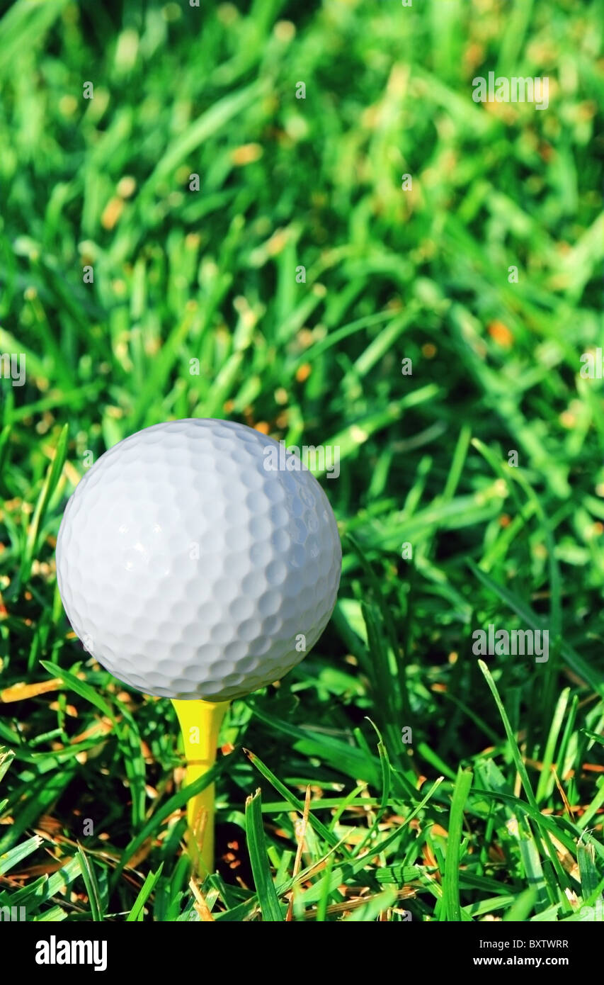 vertical golf ball and tee on grass Stock Photo - Alamy
