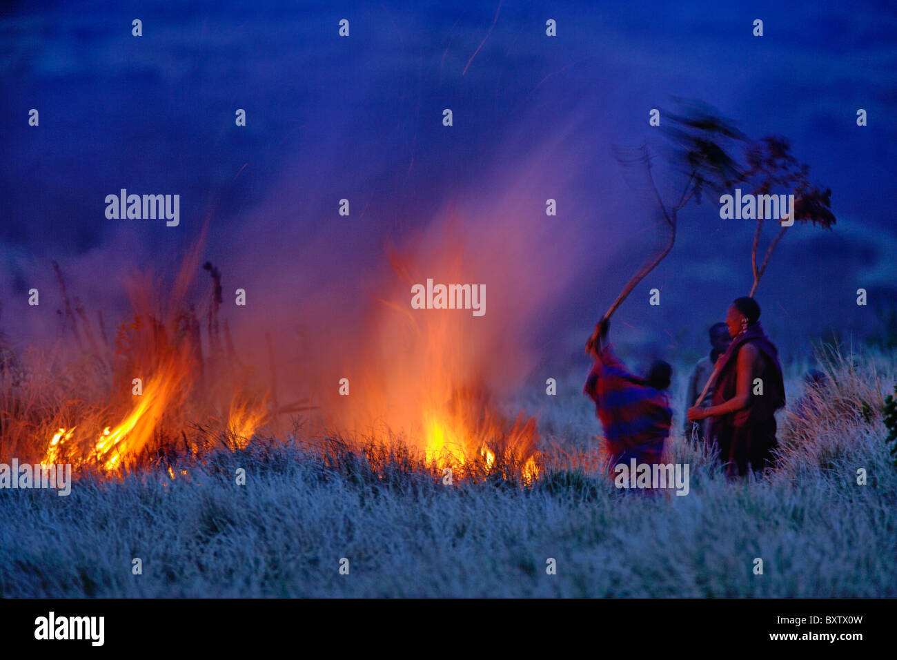 Masai villagers putting out controlled burn near the Ngorongoro Crater ...