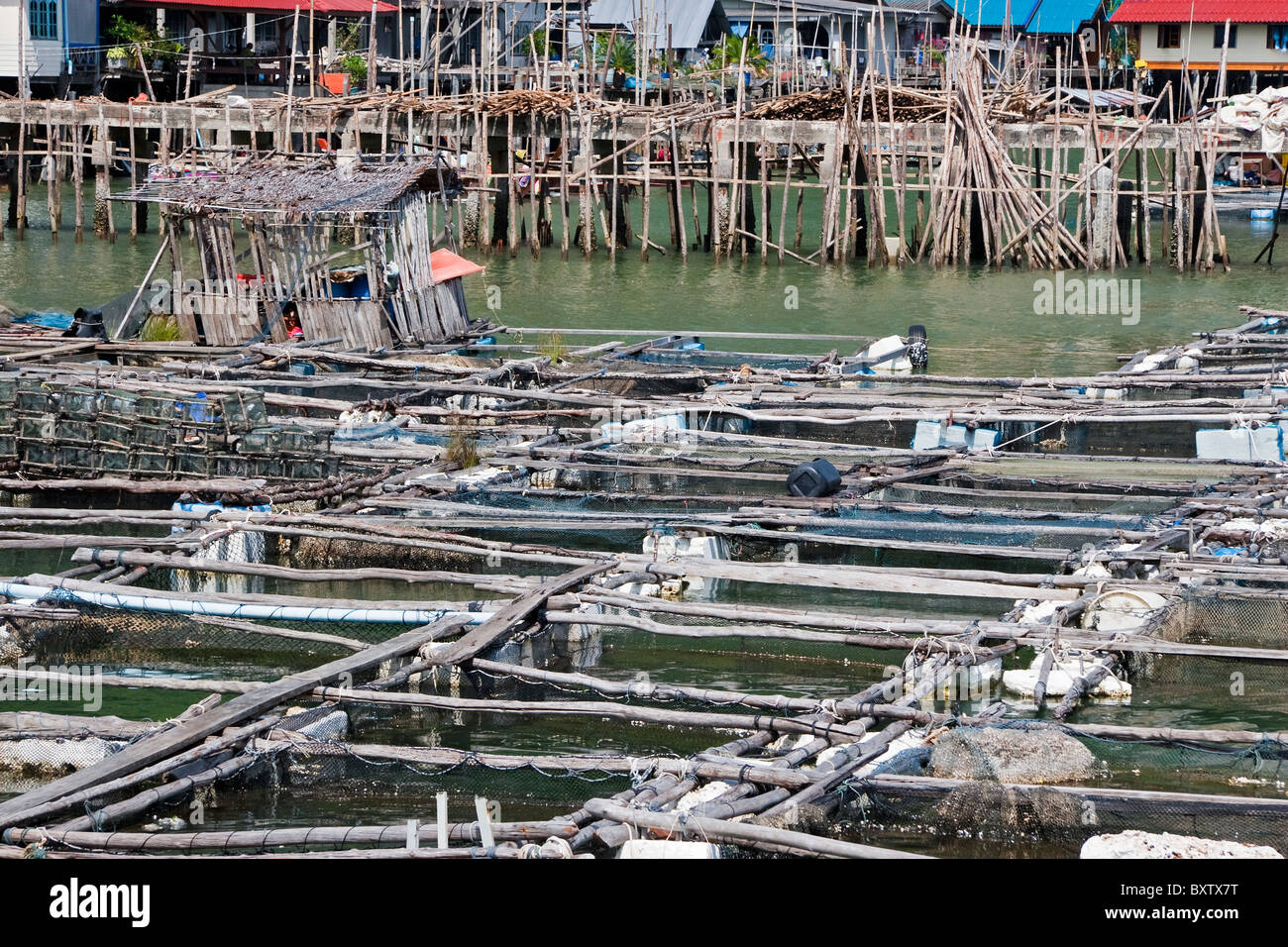 Stilted Muslim fishing village with fish farming nets, Ko Panyi, Phang ...