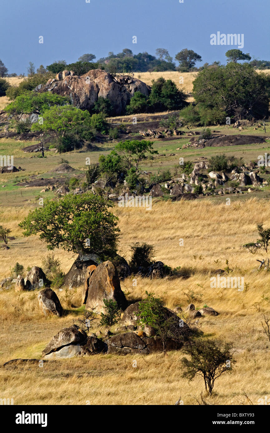Rock outcroppings (copi) and grass plains, northern Serengeti ...