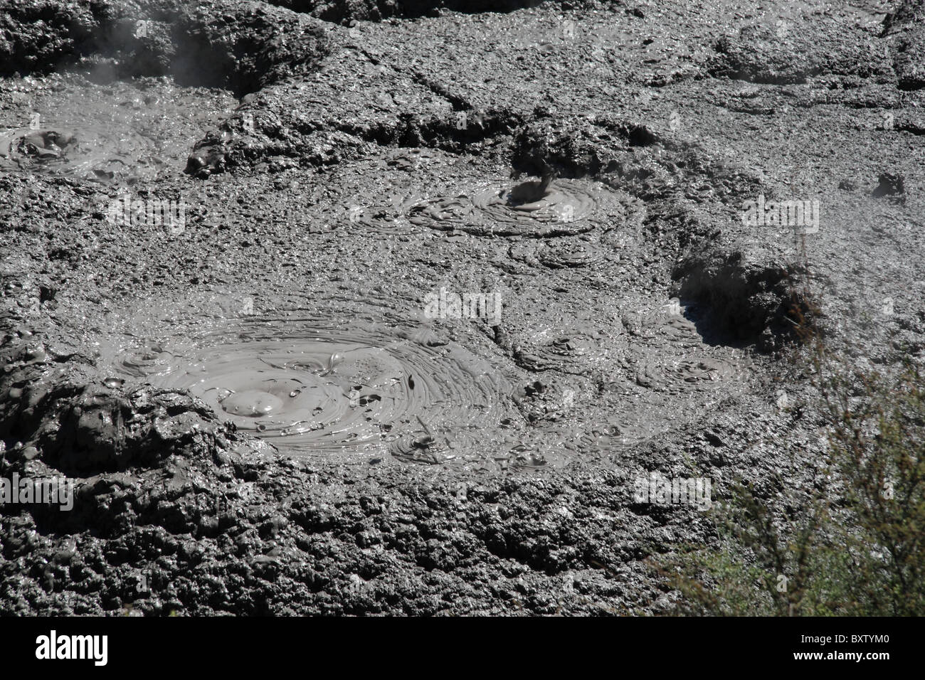 Taupo volcanic zone boiling mud hi-res stock photography and images - Alamy