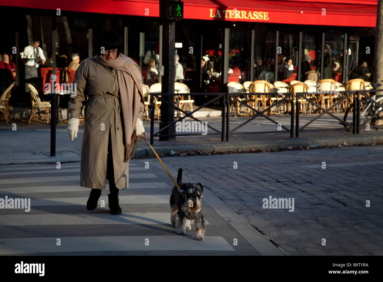 A Parisian woman walks her dog, Paris, France Stock Photo - Alamy