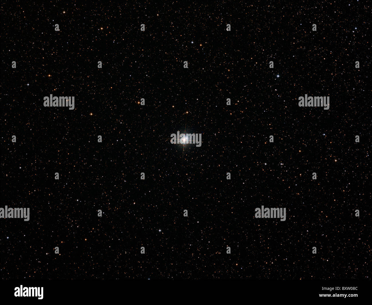 Albireo, beta cygni hi-res stock photography and images - Alamy