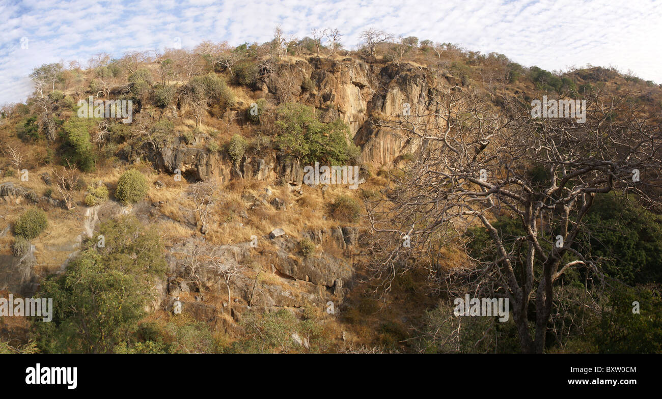 Rugged cliffs and scrubland forest near Kumbhalgarh Fort in Rajasthan ...