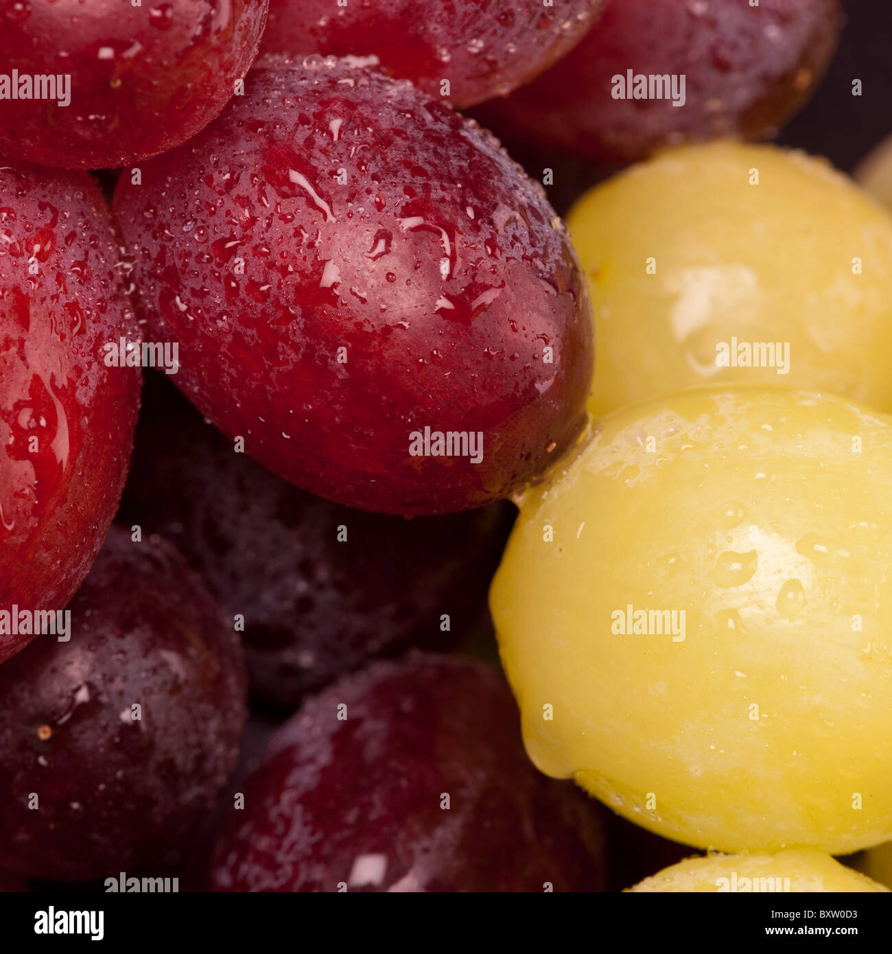 Close up Grapes Stock Photo - Alamy