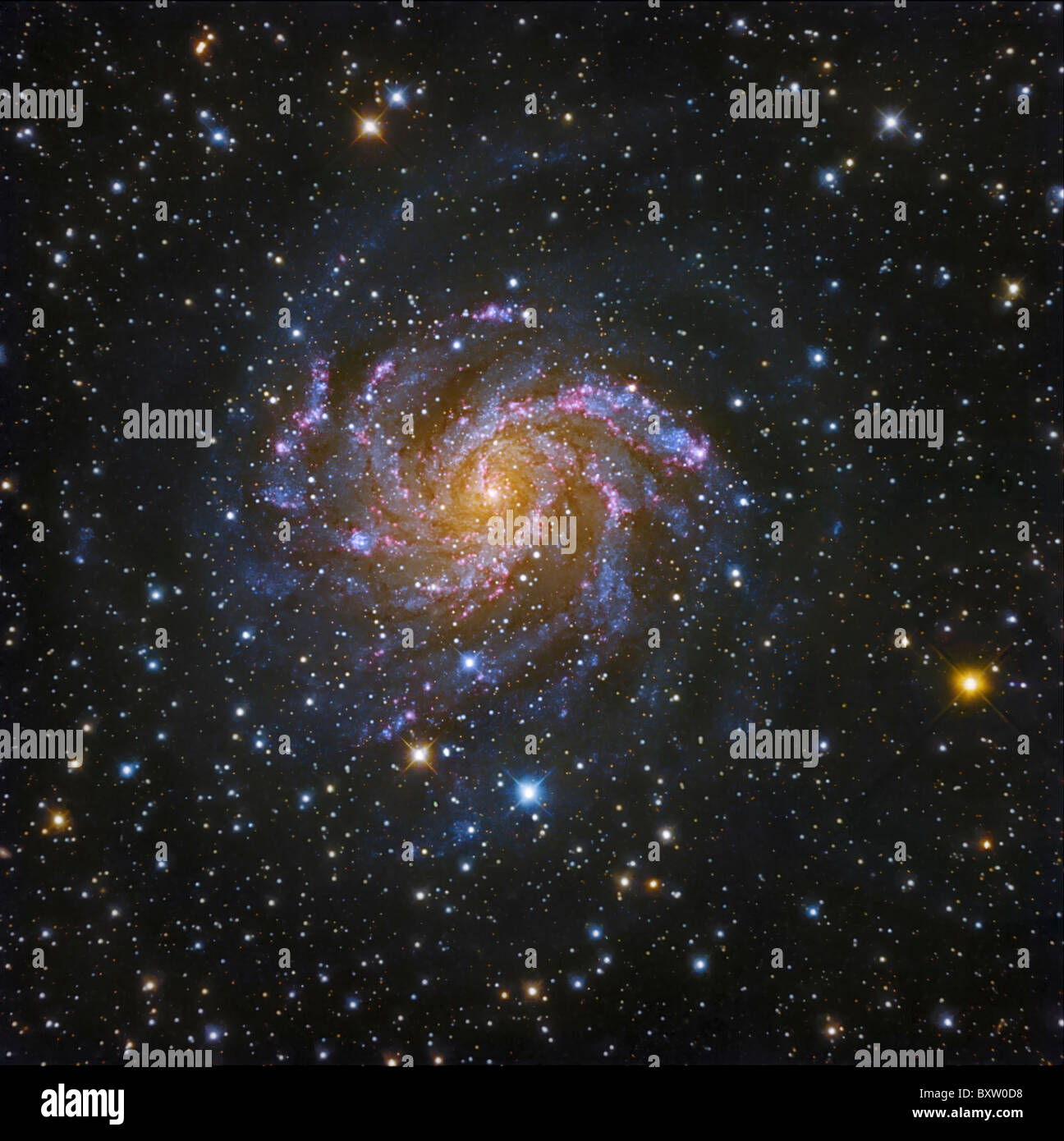 Ngc 6946 known fireworks galaxy hi-res stock photography and images - Alamy