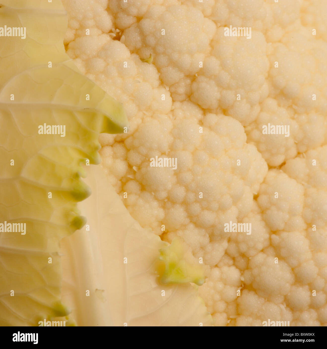Florets cauliflower hi-res stock photography and images - Alamy