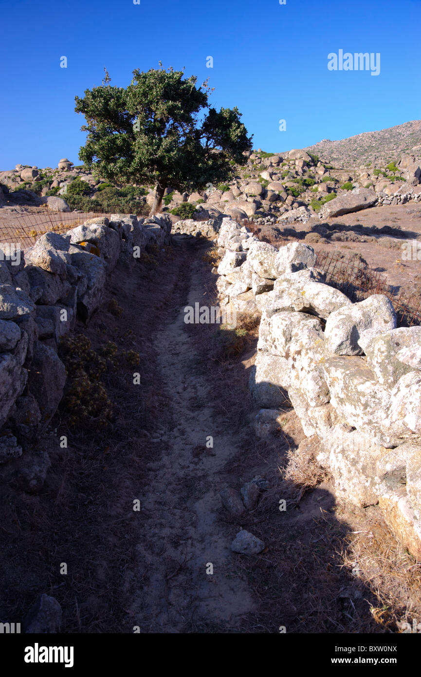Ancient path bordered by stone walls, in the countryside near Volax, on ...