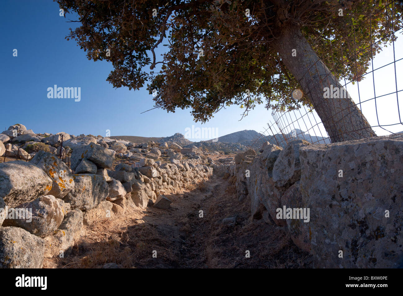 Ancient path bordered by stone walls, in the countryside near Volax, on ...