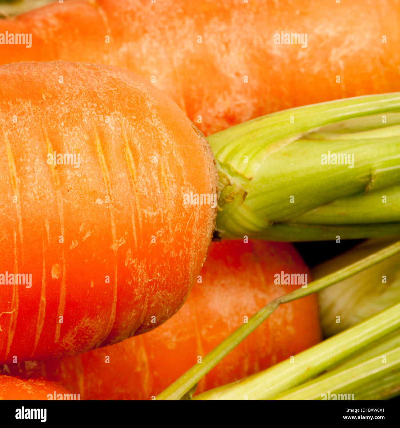 Close up Carrot Stock Photo - Alamy