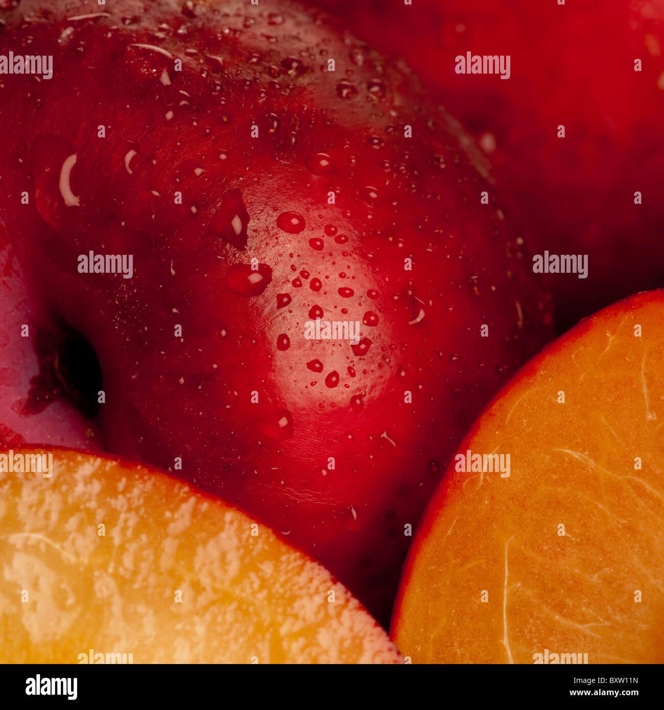 Plums in close up Stock Photo - Alamy