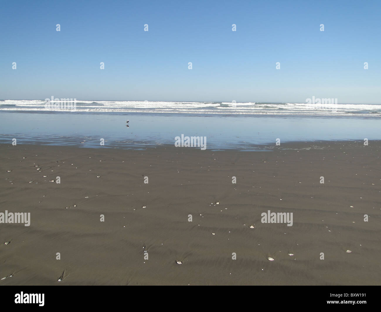 Wide open shore hi-res stock photography and images - Alamy
