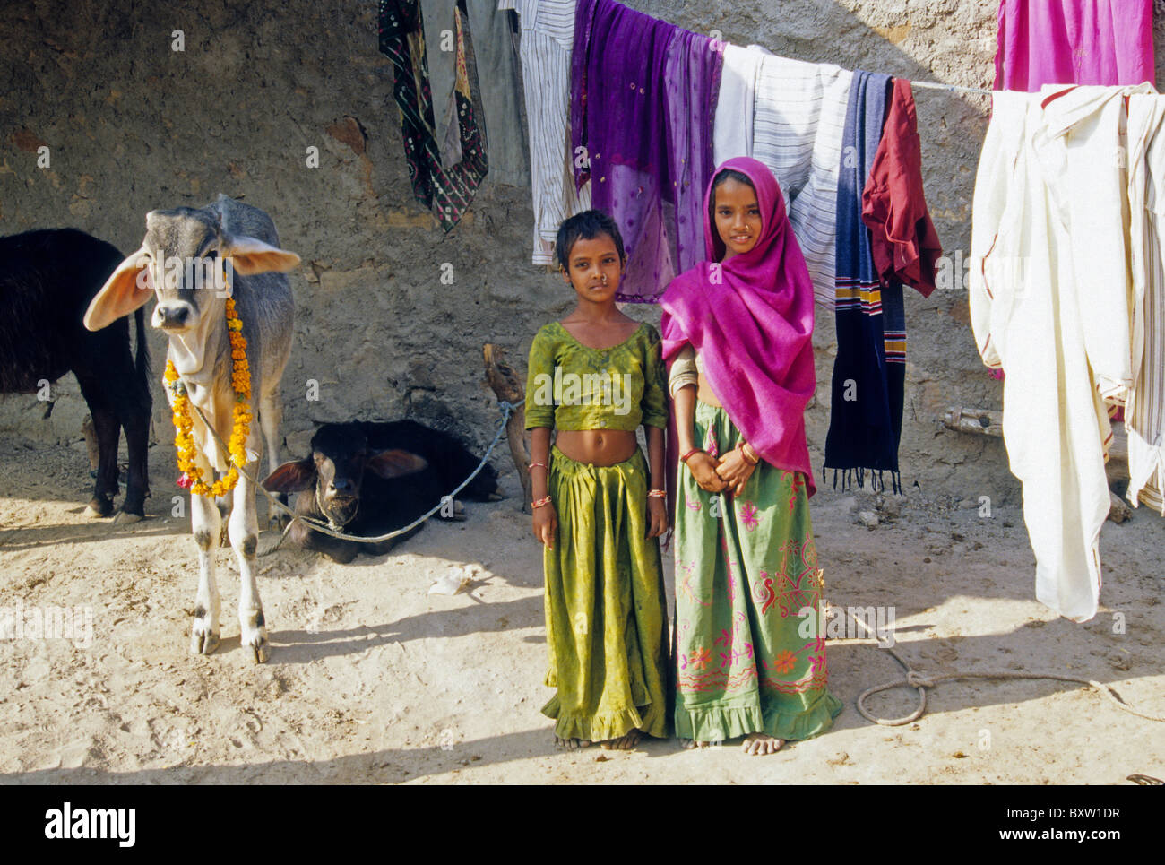 Dasada hi-res stock photography and images - Alamy