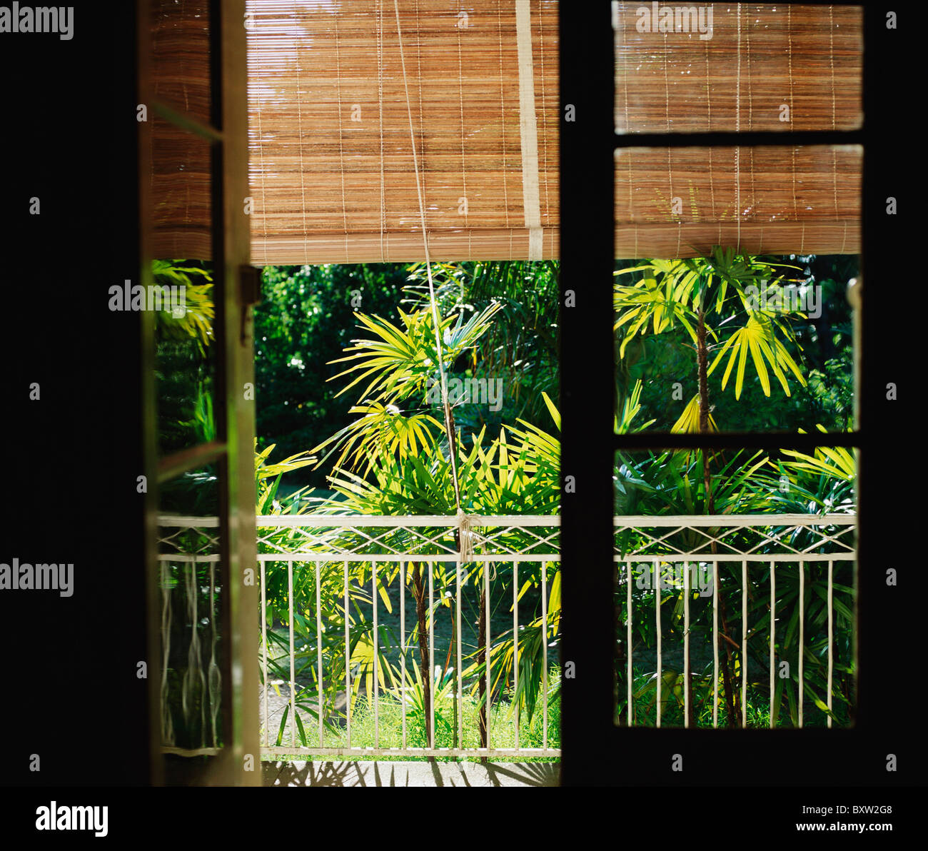 View Out Of Window Towards Vegetation And Balcony Stock Photo - Alamy