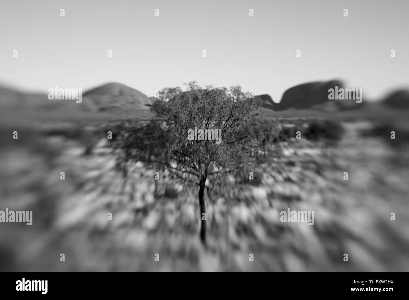 Australia, Northern Territory, Uluru - Kata Tjuta National Park ...