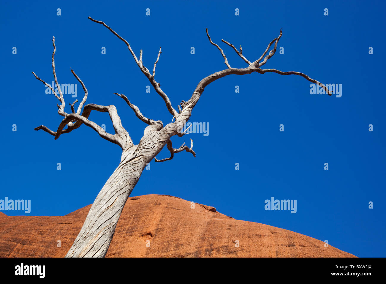 Australia Northern Territory Uluru - Kata Tjuta National Park Sun ...