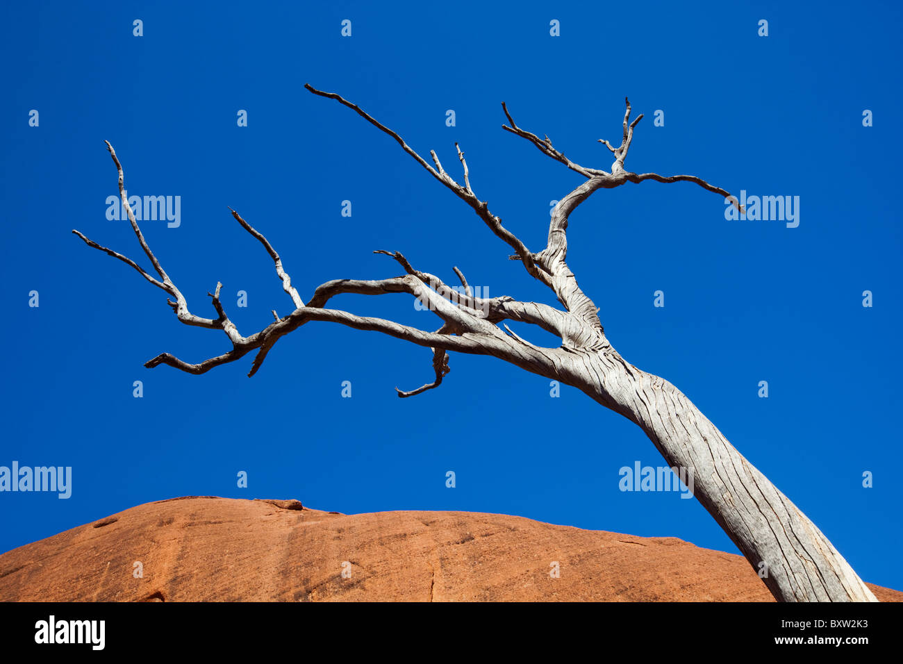 Australia Northern Territory Uluru - Kata Tjuta National Park Sun ...