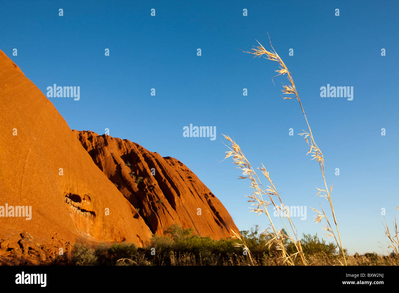 Uluru monolith in sun hi-res stock photography and images - Alamy