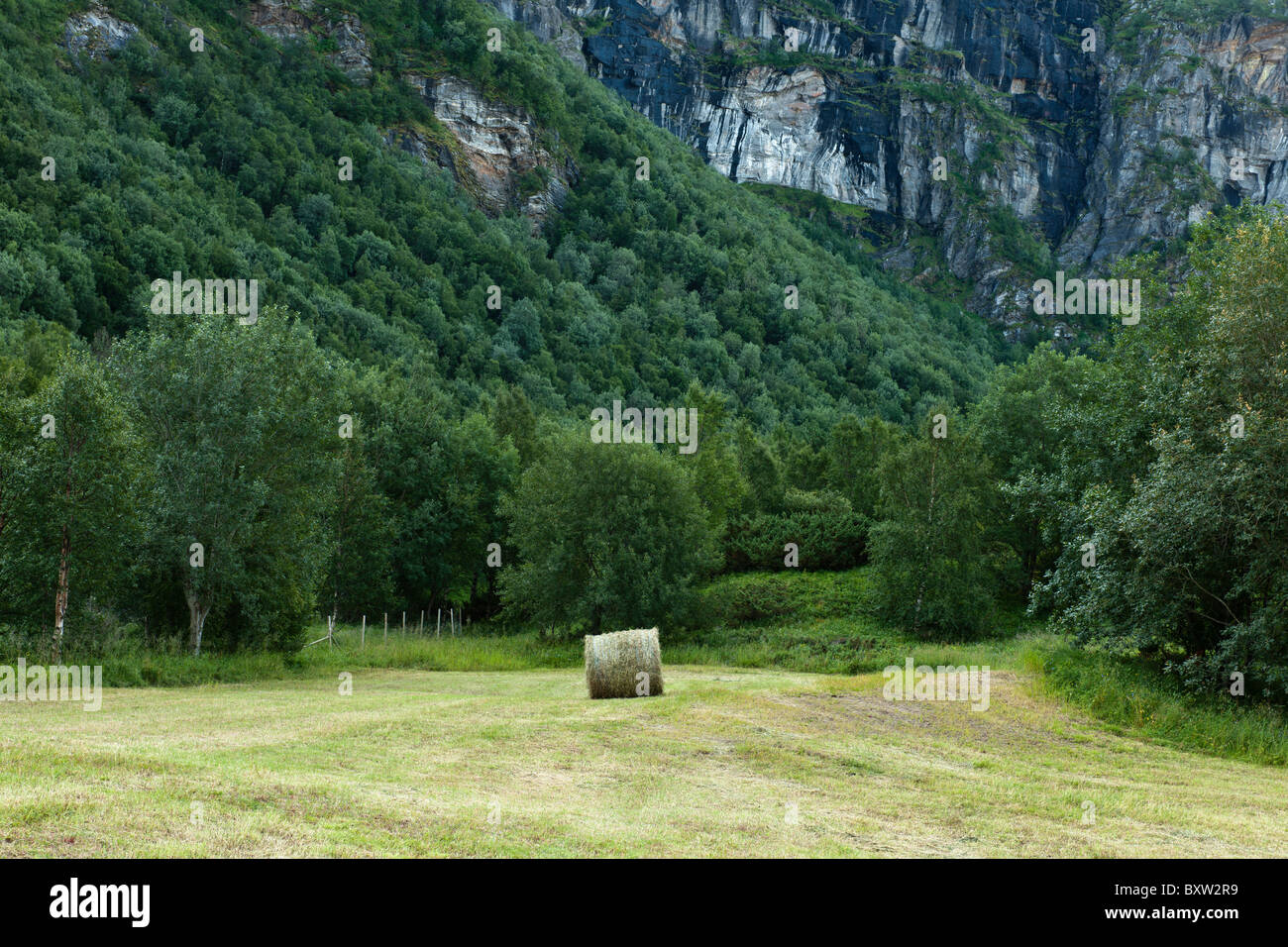 Large hay ball on new mown grass field Stock Photo - Alamy