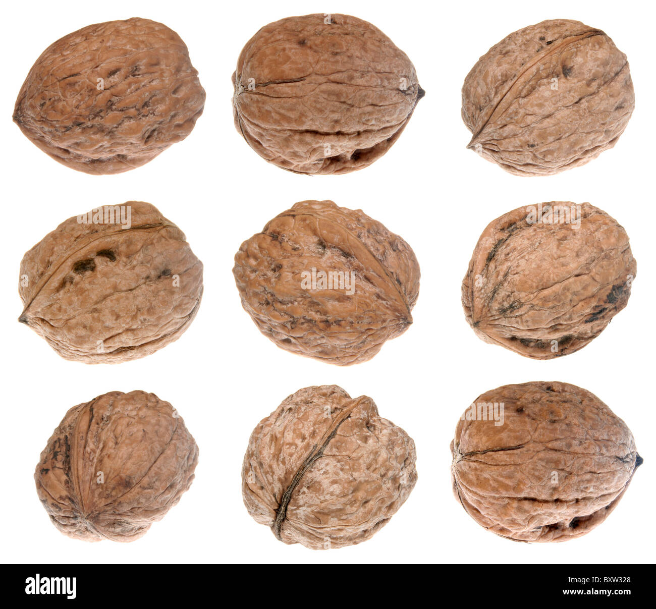 Group of walnuts isolated on white background Stock Photo - Alamy