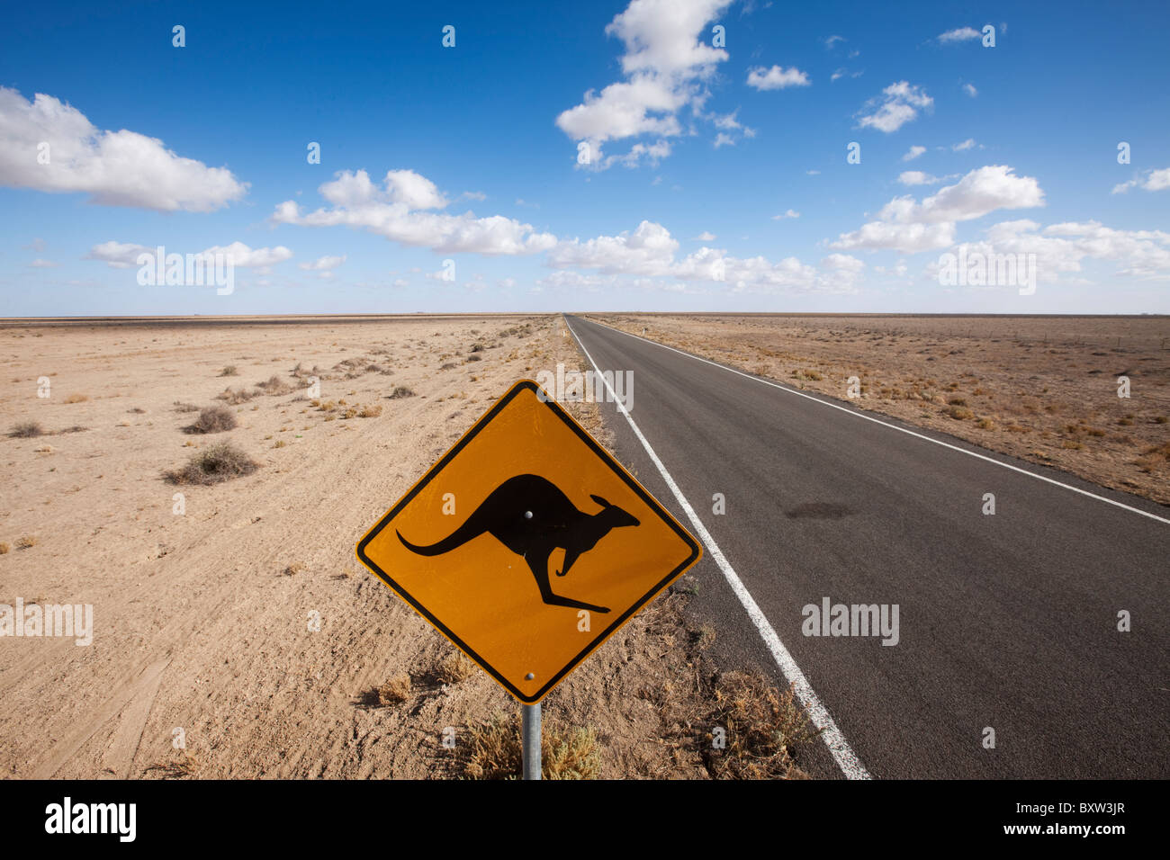 Kangaroo warning sign on road hi-res stock photography and images - Alamy