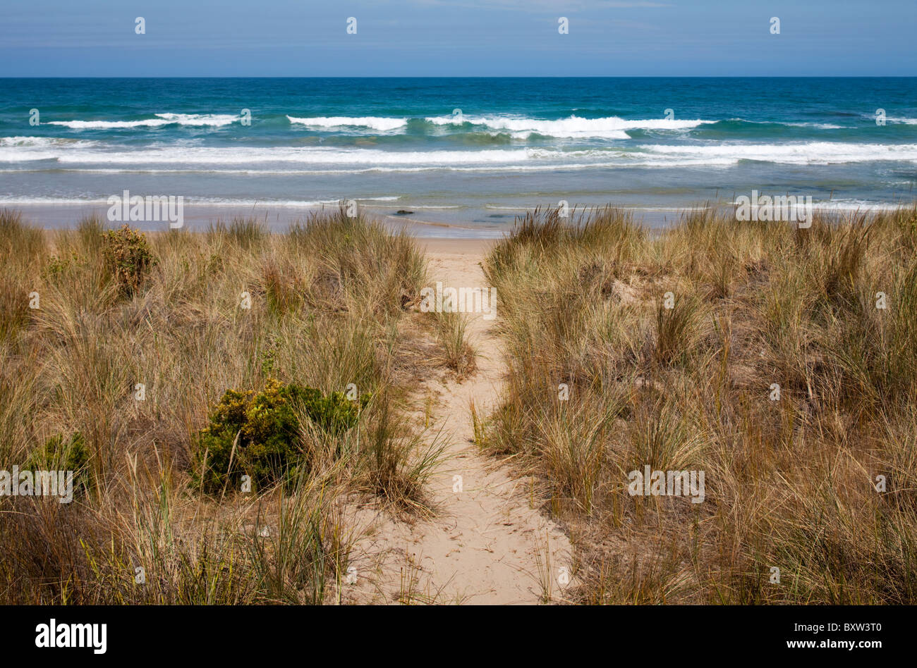 Australia Victoria Morning sun lights sandy path through grassy beach ...