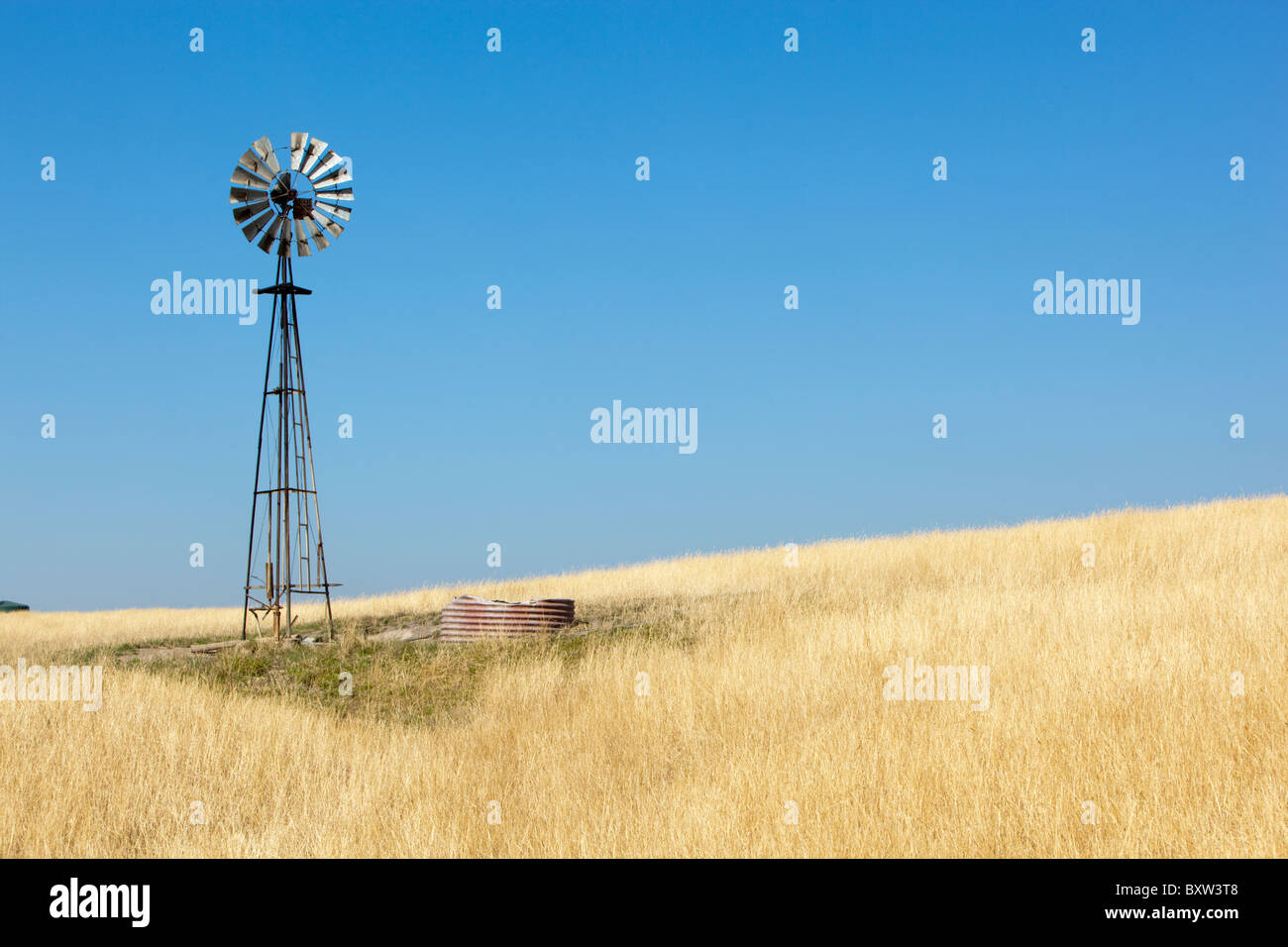 Australia, Victoria, Port Campbell, Wind mill in wheat field on summer ...