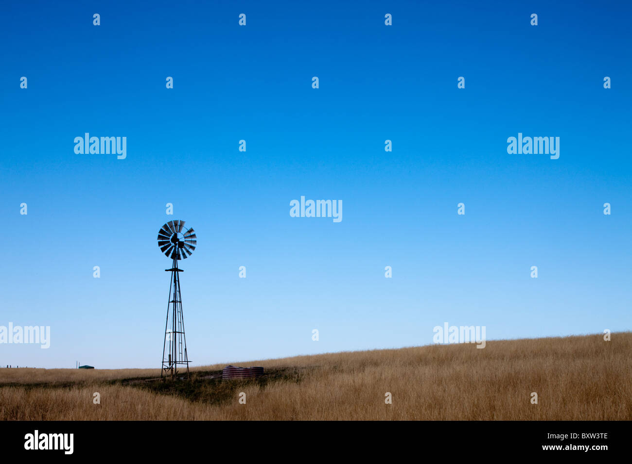 Australia, Victoria, Port Campbell, Wind mill on farm near Great Ocean ...