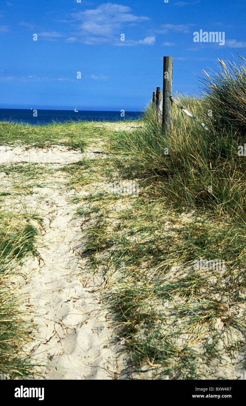 Path on the beach hi-res stock photography and images - Alamy