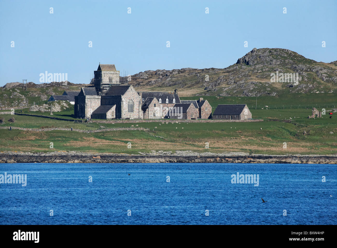 Iona Abbey, Iona, just off Isle of Mull, Scotland, United Kingdom Stock ...