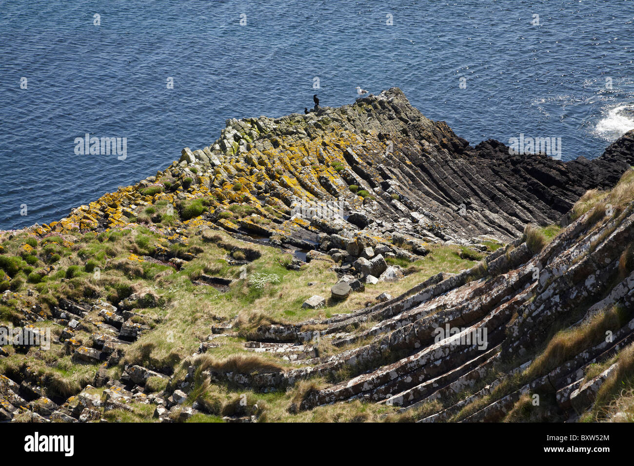 Polygonal basalt, Staffa, off Isle of Mull, Scotland, United Kingdom ...
