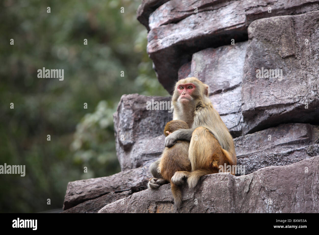 Zhangjiajie hi-res stock photography and images - Alamy