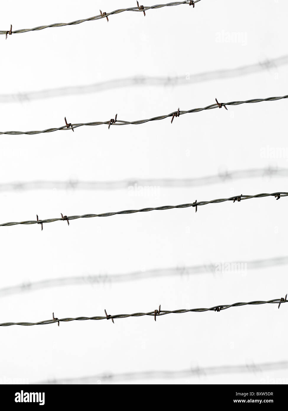 Barbed wire dangerous fence hi-res stock photography and images - Alamy