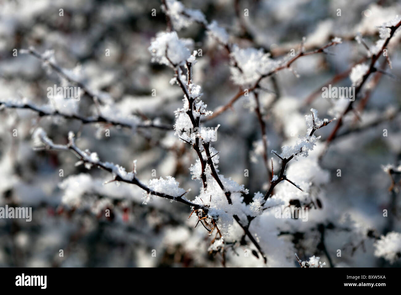 Time detail hi-res stock photography and images - Alamy