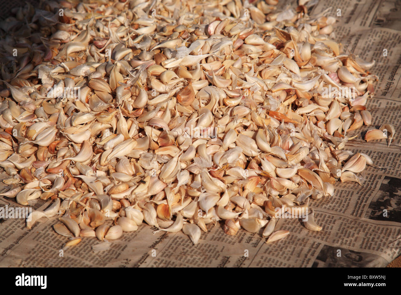 Garlic india hi-res stock photography and images - Alamy