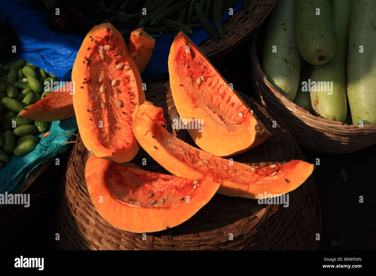 Food covered in flies hi-res stock photography and images - Alamy