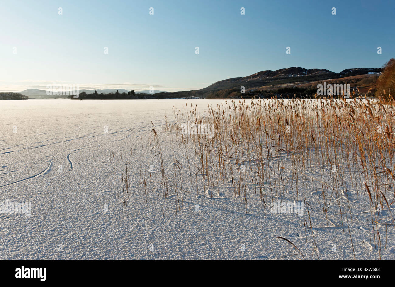 The ice covered Lake of Menteith, Stirling Region, Scotland, UK. In the ...