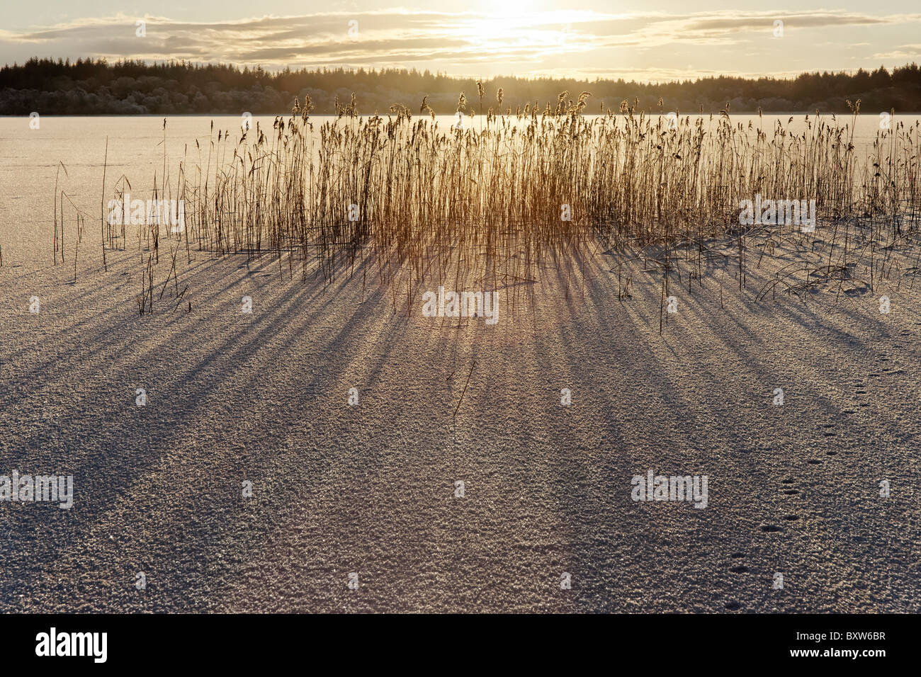 The ice covered Lake of Menteith, Stirling Region, Scotland, UK. In the ...