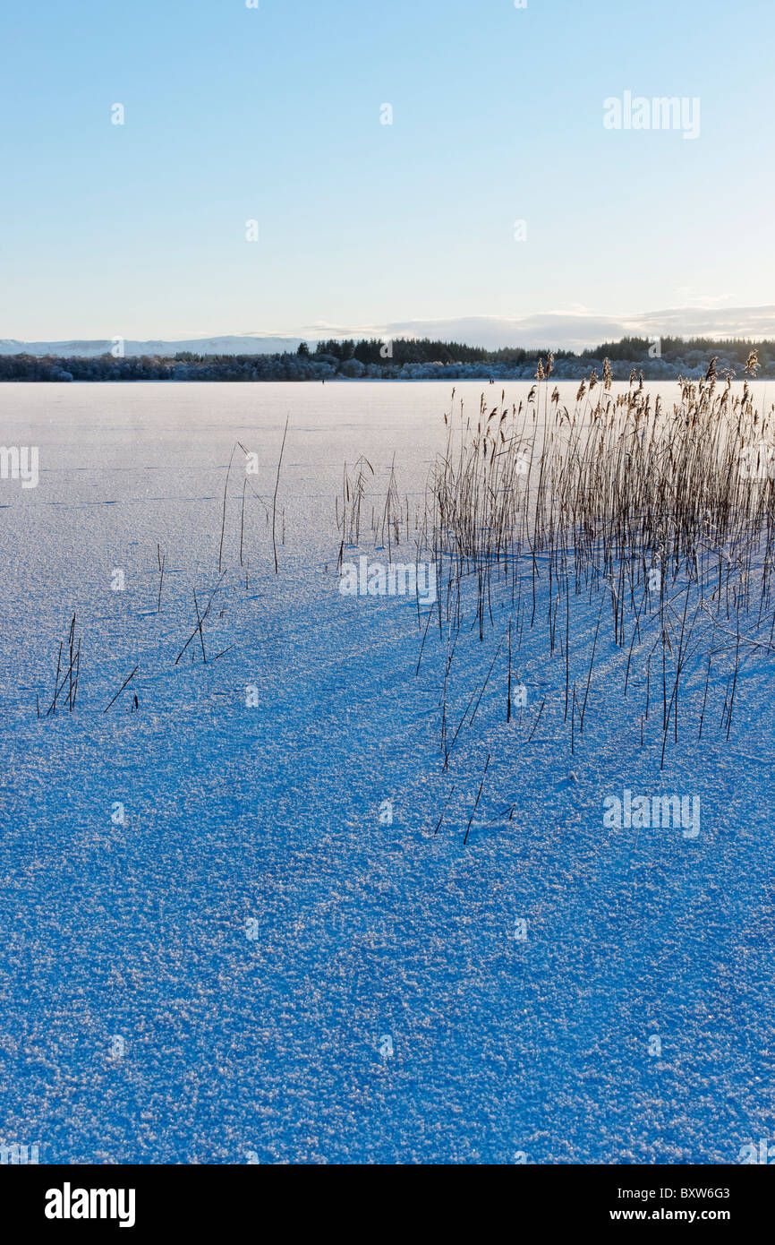 The ice covered Lake of Menteith, Stirling Region, Scotland, UK. In the ...