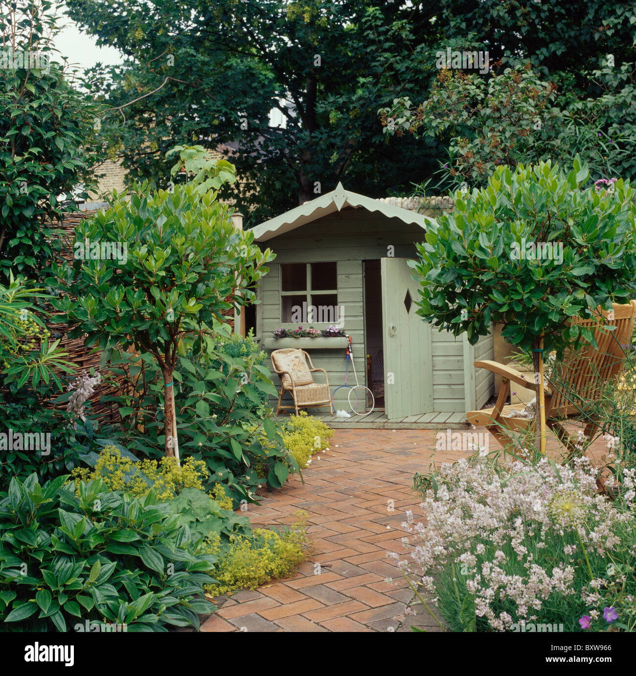 Garden with standard bay trees in borders on either side of herring ...