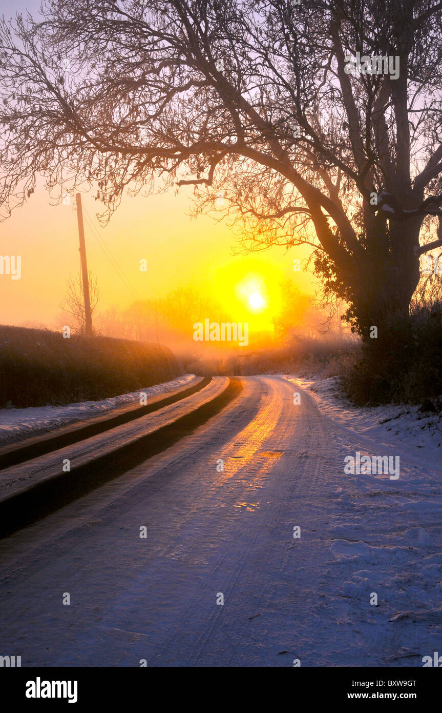 Whitminster Gloucestershire UK Oak Tree Meadow Winter Snow Hore Hoar ...
