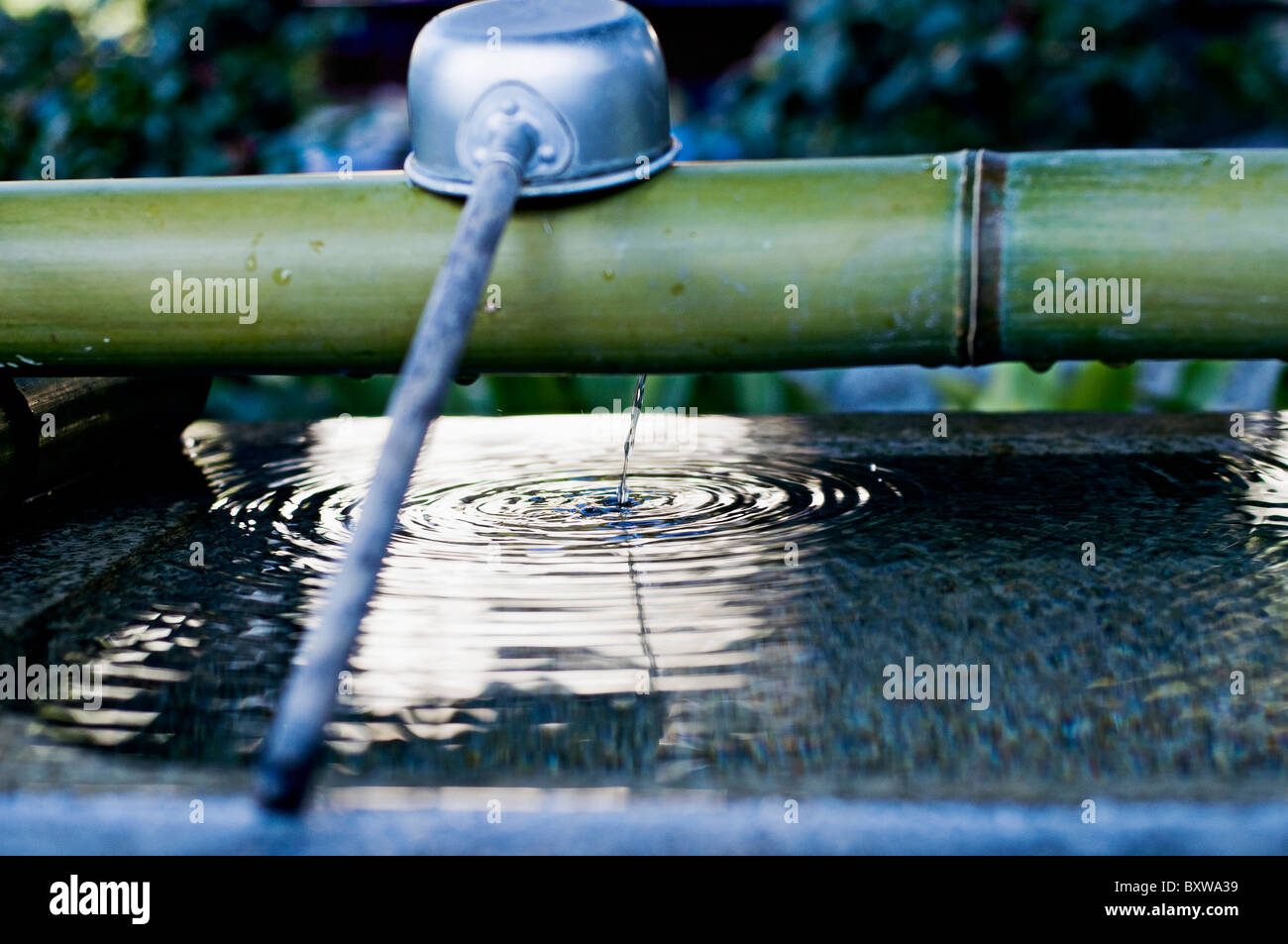 Chyozuya on water-filled basins Stock Photo - Alamy