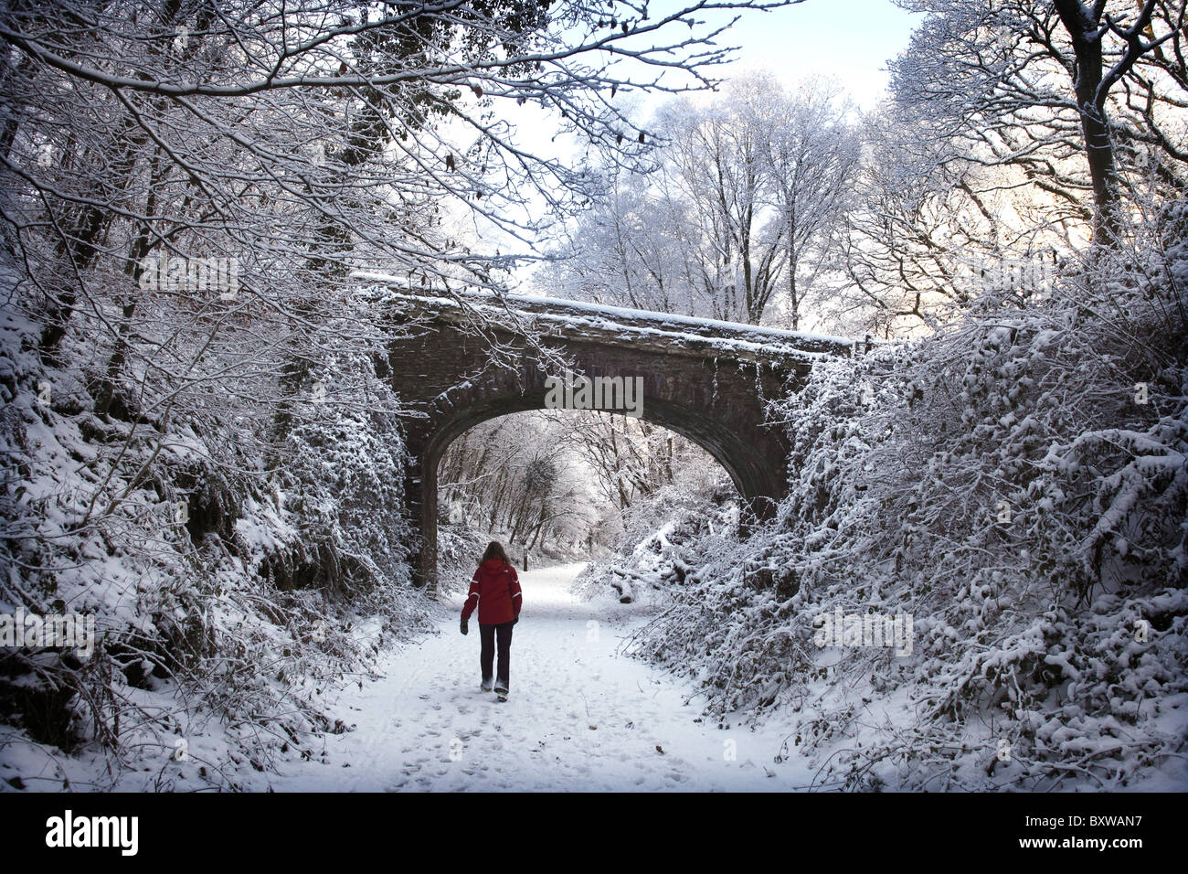 A walker strolls along the old railway line near Horrabridge that ...