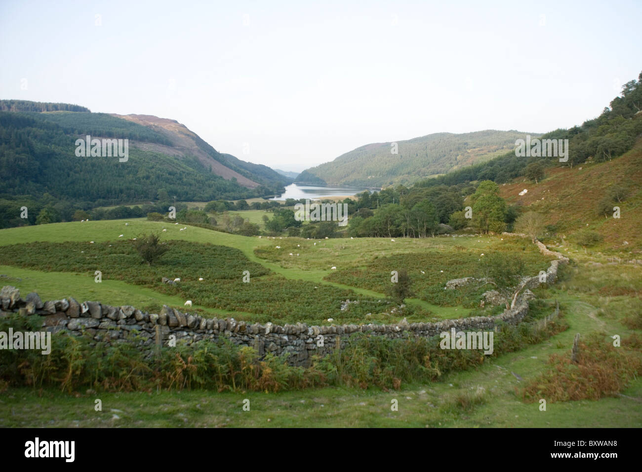 Llyn Crafnant from the Capel Curig path in Snowdonia Stock Photo - Alamy