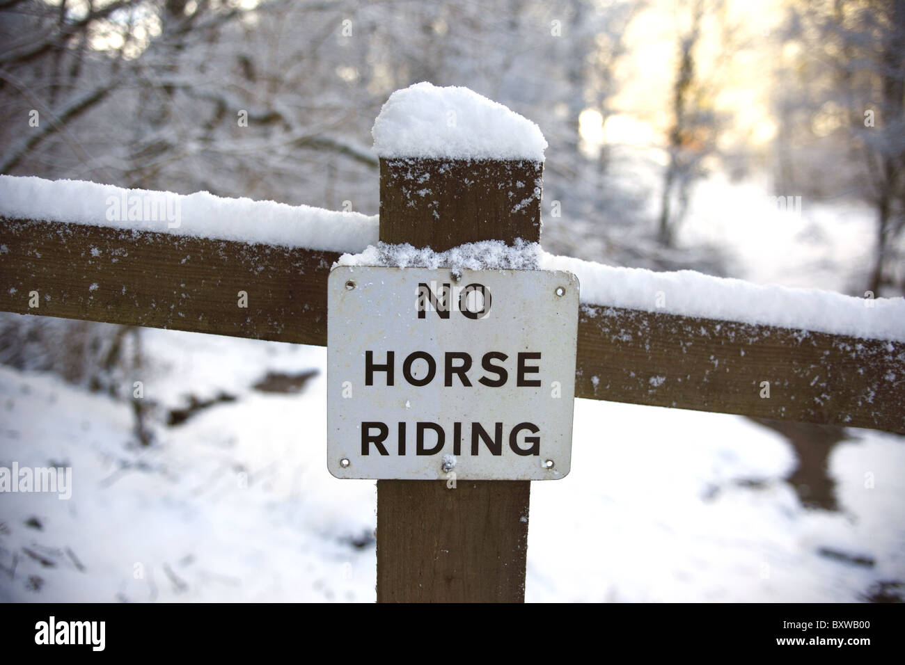 No horse riding allowed hi-res stock photography and images - Alamy