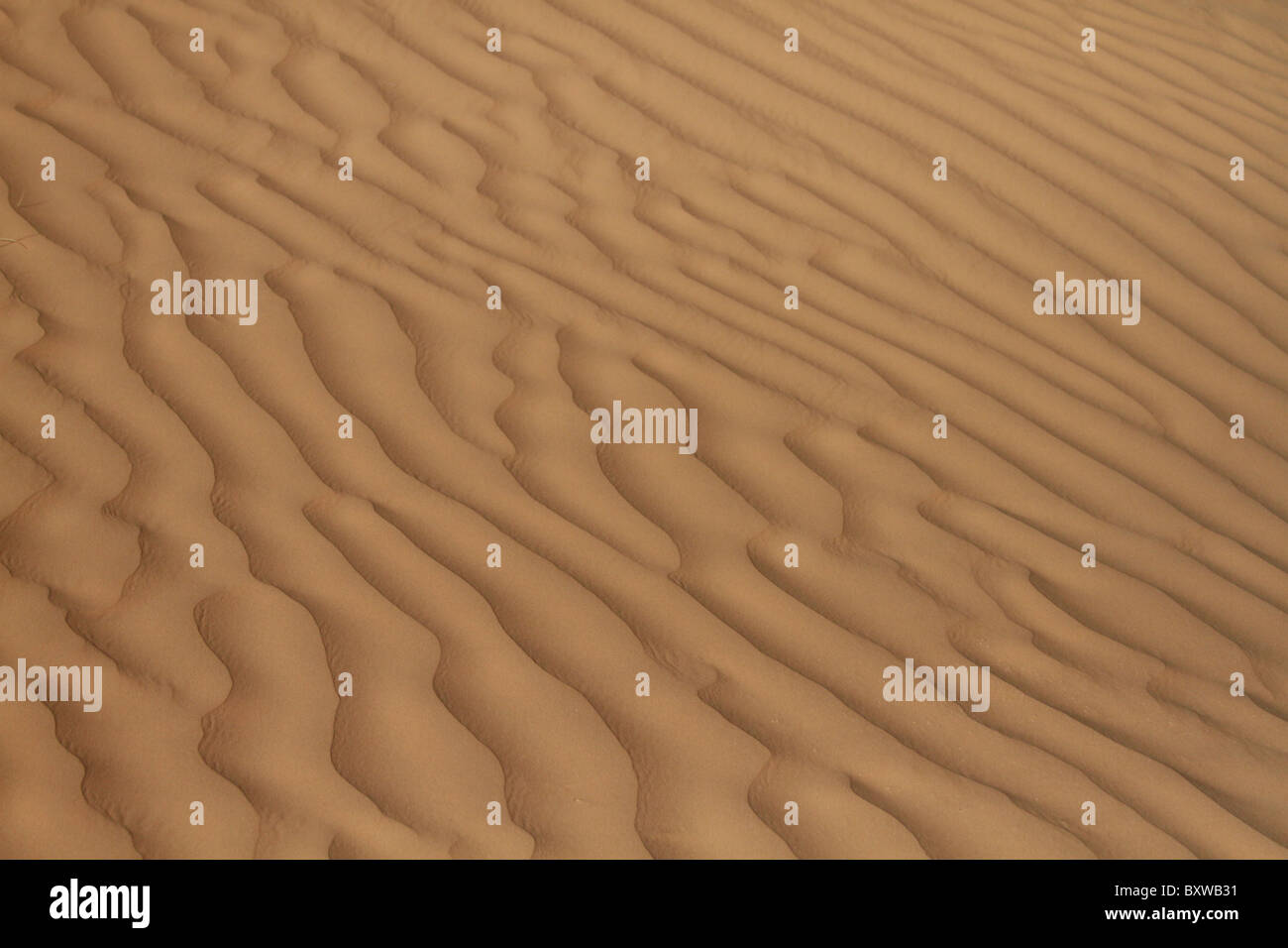 sandy, sand, sahara, texture, dune, background Stock Photo - Alamy