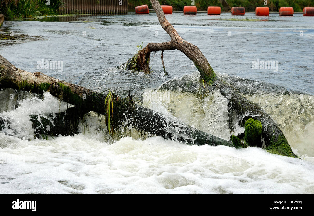 sawley weir river trent Nottingham england uk Stock Photo - Alamy