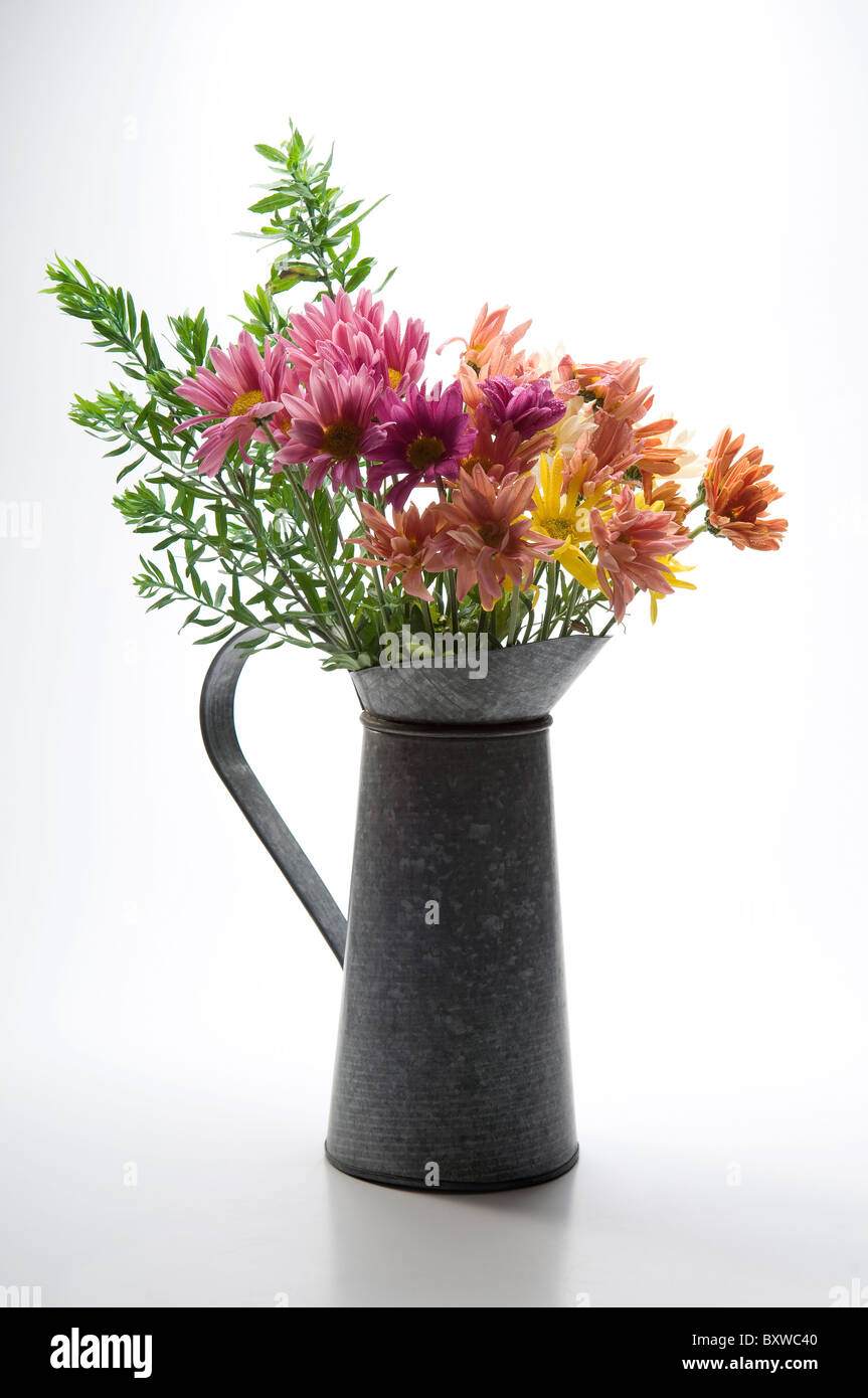 Flowers in watering can Stock Photo - Alamy