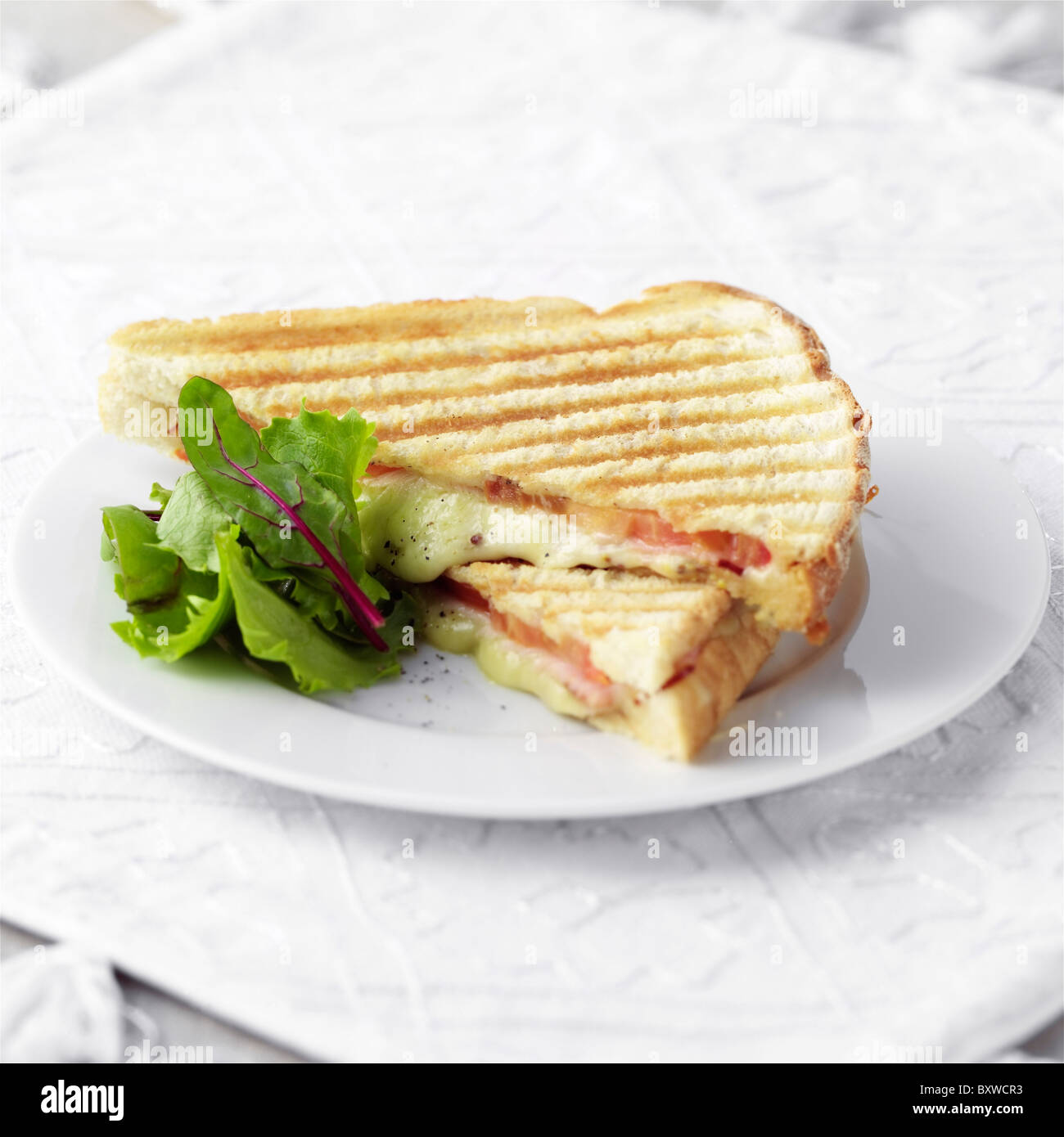 Cheese ham and tomato toasted sandwich Stock Photo - Alamy