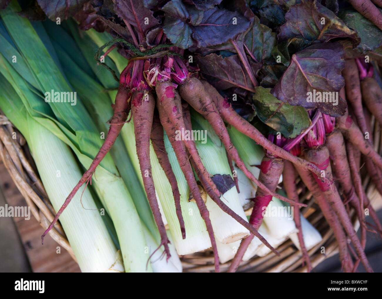 Leek farms hi-res stock photography and images - Alamy